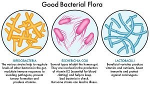 Is Candida infection responsible for your Tonsil stones? Here is the Truth
